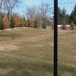 Deer Fencing - Wire Cloth Manufacturers